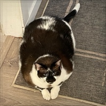 Unorthodox Bro Split | Boostcamp App