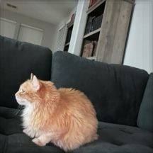 FULL BODY | Boostcamp App