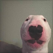 Upper Lower Split | Boostcamp App