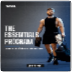 Jeff Nippard's Essentials - 4x/week | Boostcamp App