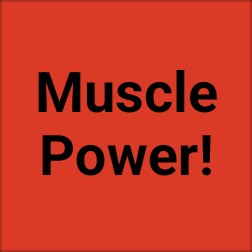 ULPPL( Upper Lower Push Pull Legs) Dumbbell Only | Boostcamp App