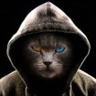 Twice-a-Week 6-Week Beginner Full body workout | Boostcamp App