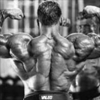 Sam Sulek training style | Boostcamp App