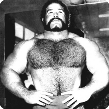 Upper, Lower, Arms Program | Boostcamp App