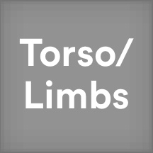 Torso/Limbs Split | Boostcamp App