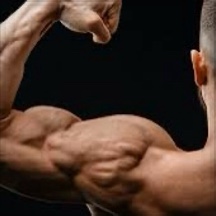 PPLUL / Push, Pull, Legs, Upper Lower (Alternate) | Boostcamp App