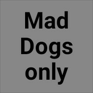 Mad Dogs Only | Boostcamp App
