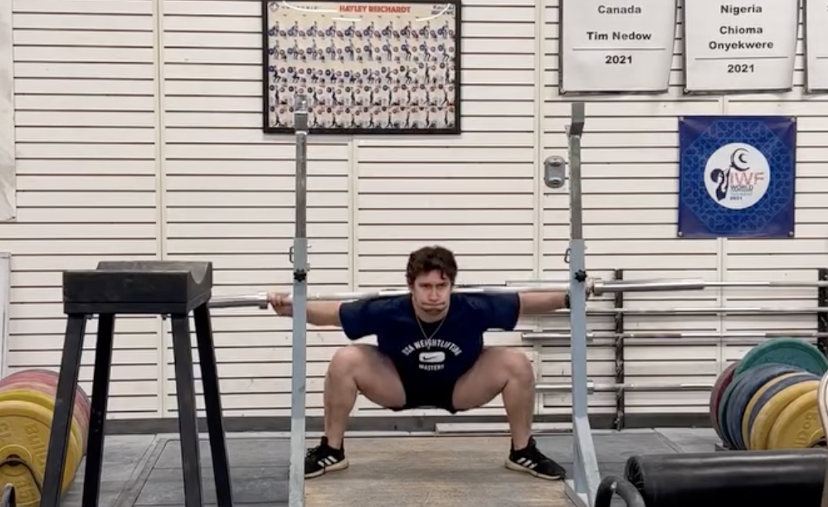 Comprehensive Guide on Setting Up a Workout Routine