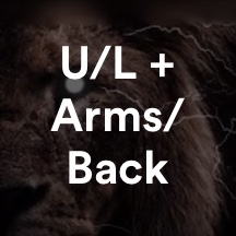 AKLions Upper lower + Arms/Back weakpoint routine | Boostcamp App