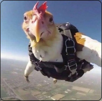 HVPPLAS (Arm and OHP focus) | Boostcamp App