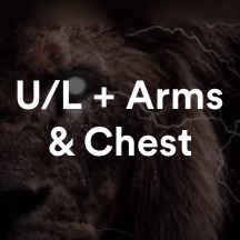 AKLions Upper lower + Arms/Chest weakpoint routine | Boostcamp App