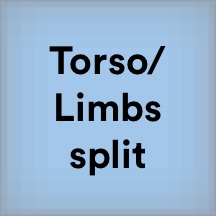 Malone Limbs and Torso split | Boostcamp App
