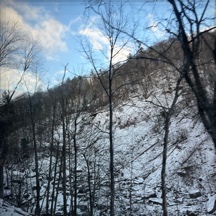 Give it everything FULL BODY | Boostcamp App